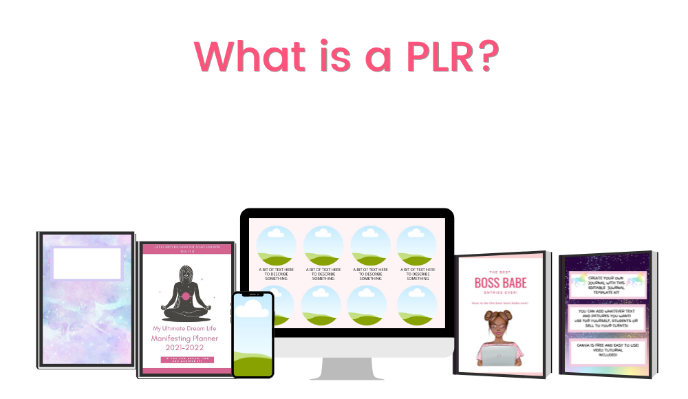 Make Money With PLR's - The UnPopular Mom